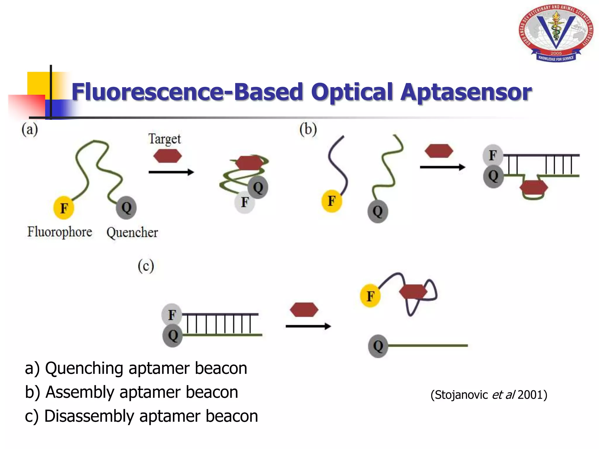 Aptamers | PPT