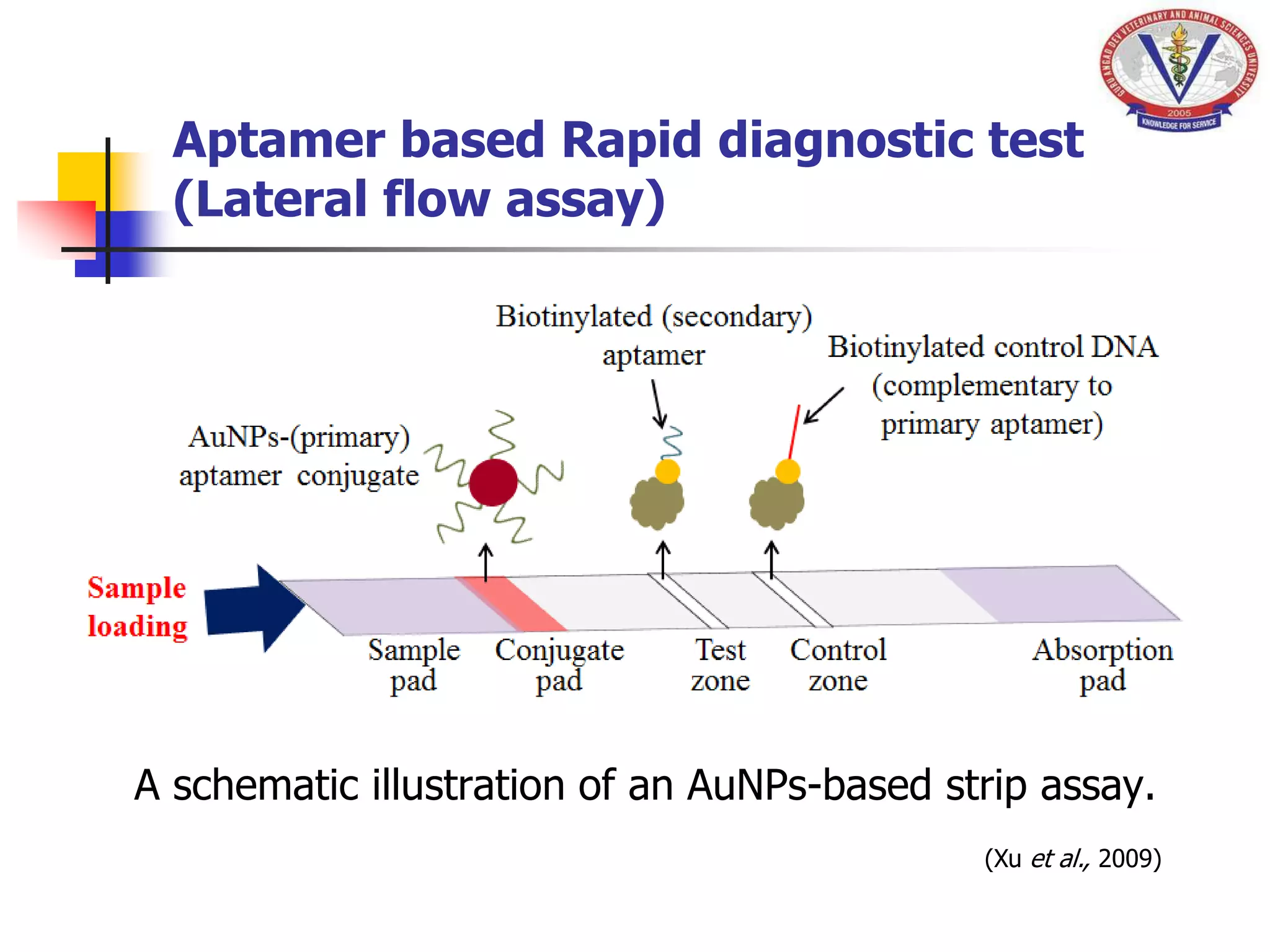 Aptamers | PPT