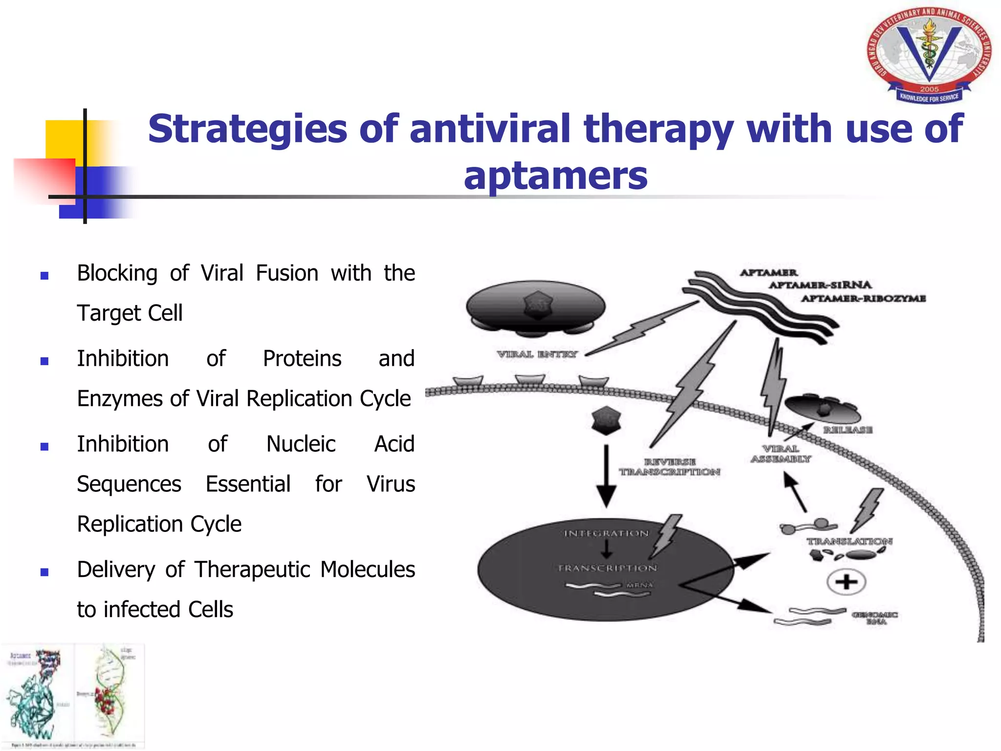 Aptamers | PPT