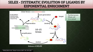Aptamers as targeted therapeutics | PPT