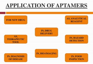 Aptamers based drug delivery | PDF