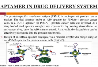 Aptamers based drug delivery | PDF