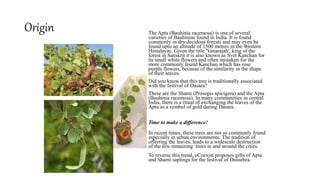 Apta tree | PPTX | Herbs and Supplements | Alternative Medicine