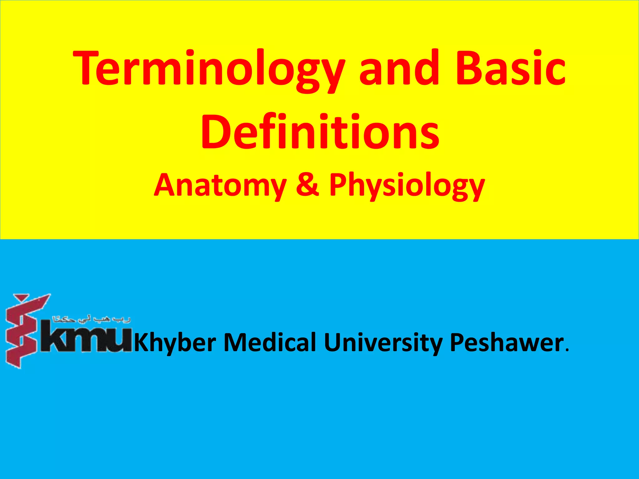 A&P Terminology - Copy.pptx