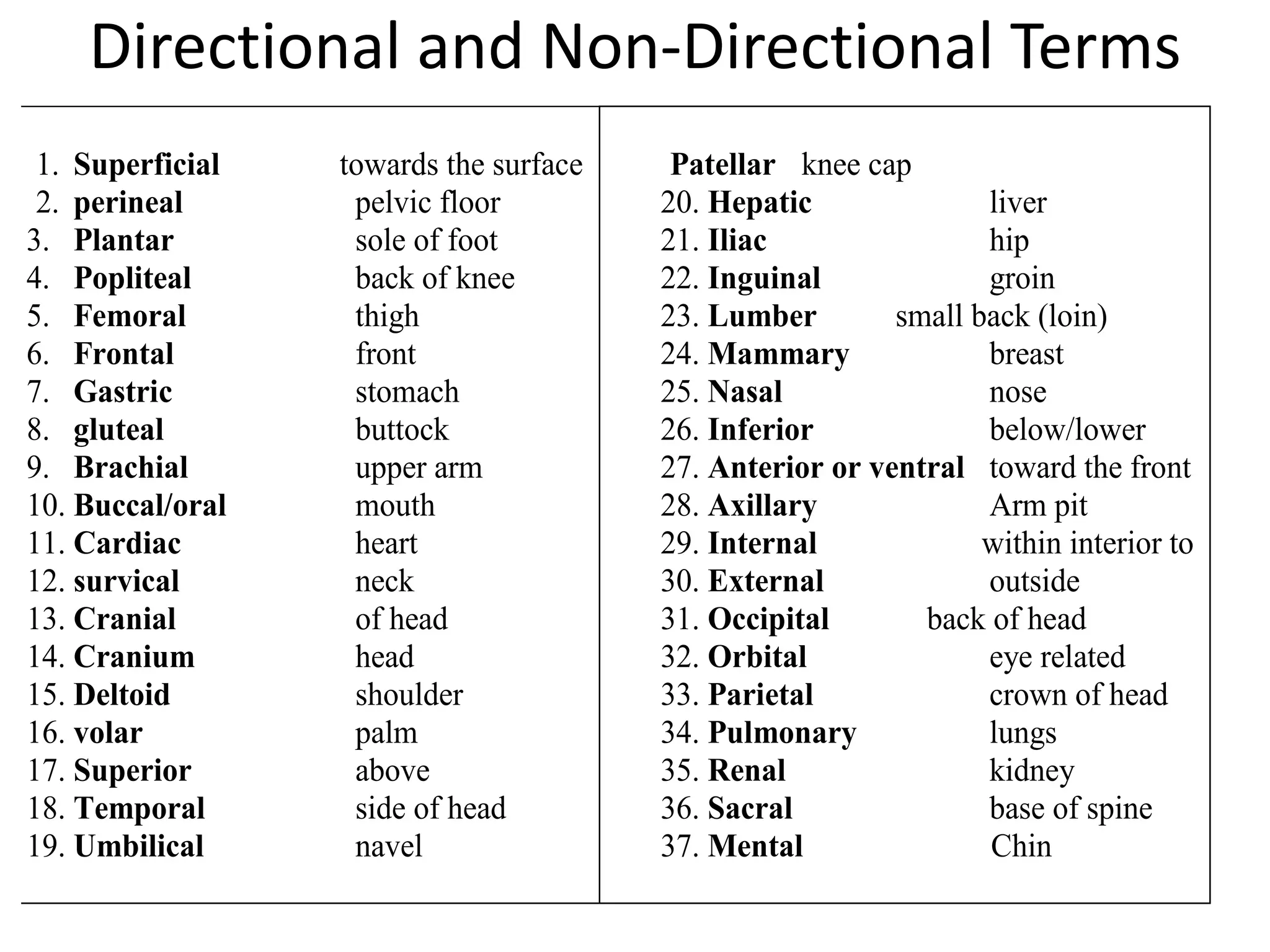 A&P Terminology - Copy.pptx