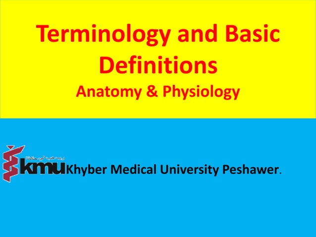 A&P Terminology - Copy.pptx