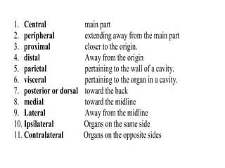 A&P Terminology - Copy.pptx | Biological Sciences | Science
