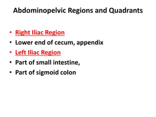 A&P Terminology - Copy.pptx