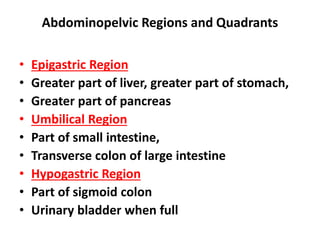 A&P Terminology - Copy.pptx | Biological Sciences | Science