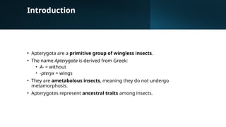 General Characters and Classification of Su class Apterygota.pptx
