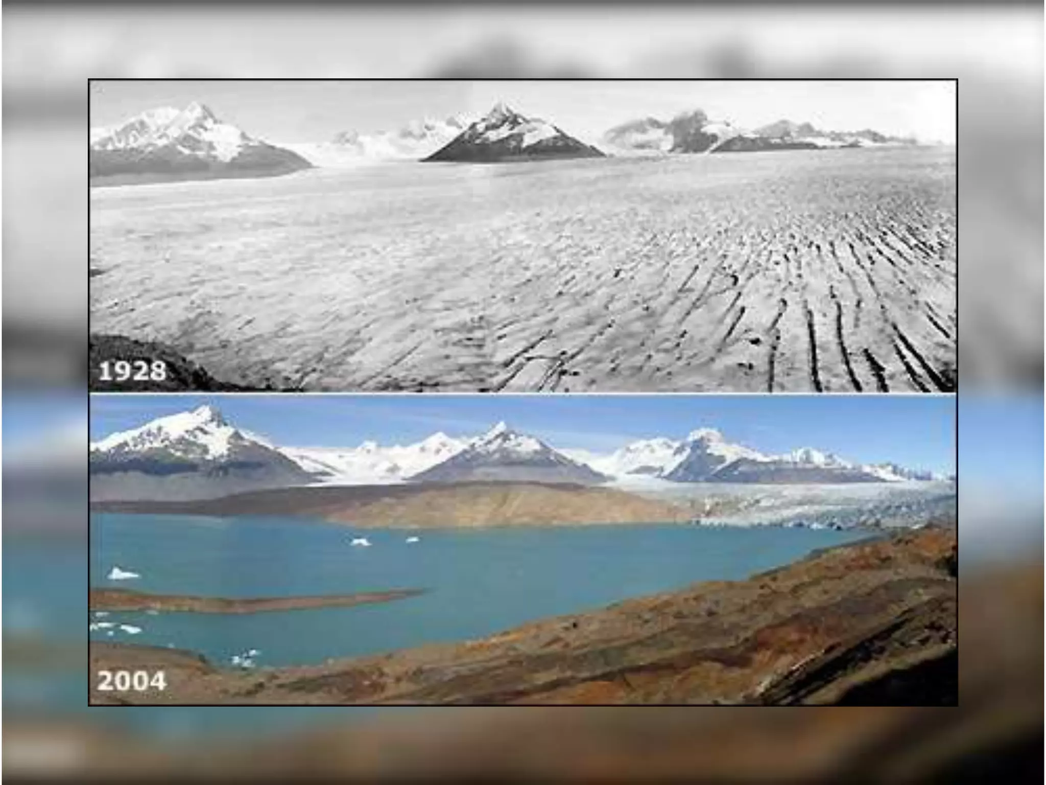 Ailing planet; the green movements role | PPTX | Science