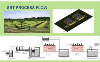 APTIDCO- STP Presentation based on SBT andSBR.pptx