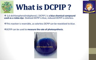 AIR POLLUTION TOLRENCE INDEX. (APTI) | PPT