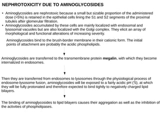 Molecular mechanism of drug induced nephrotoxicity | ODP