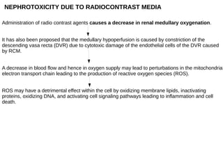 Molecular mechanism of drug induced nephrotoxicity | ODP