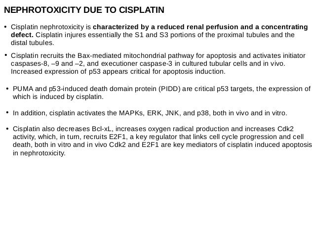 Molecular mechanism of drug induced nephrotoxicity