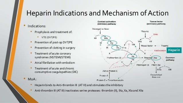 Anti-Xa versus aPTT Monitoring for Intravenous Heparin Administration…