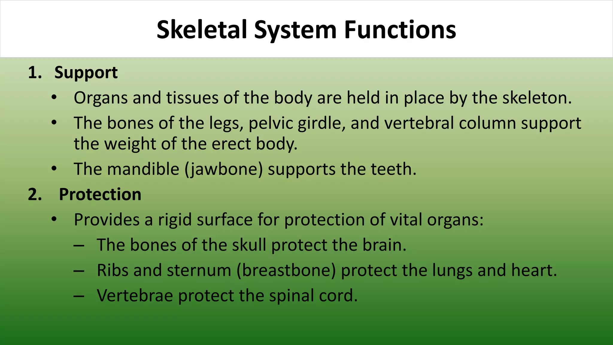 APU4.1 Skeleton System Introduction | PPTX