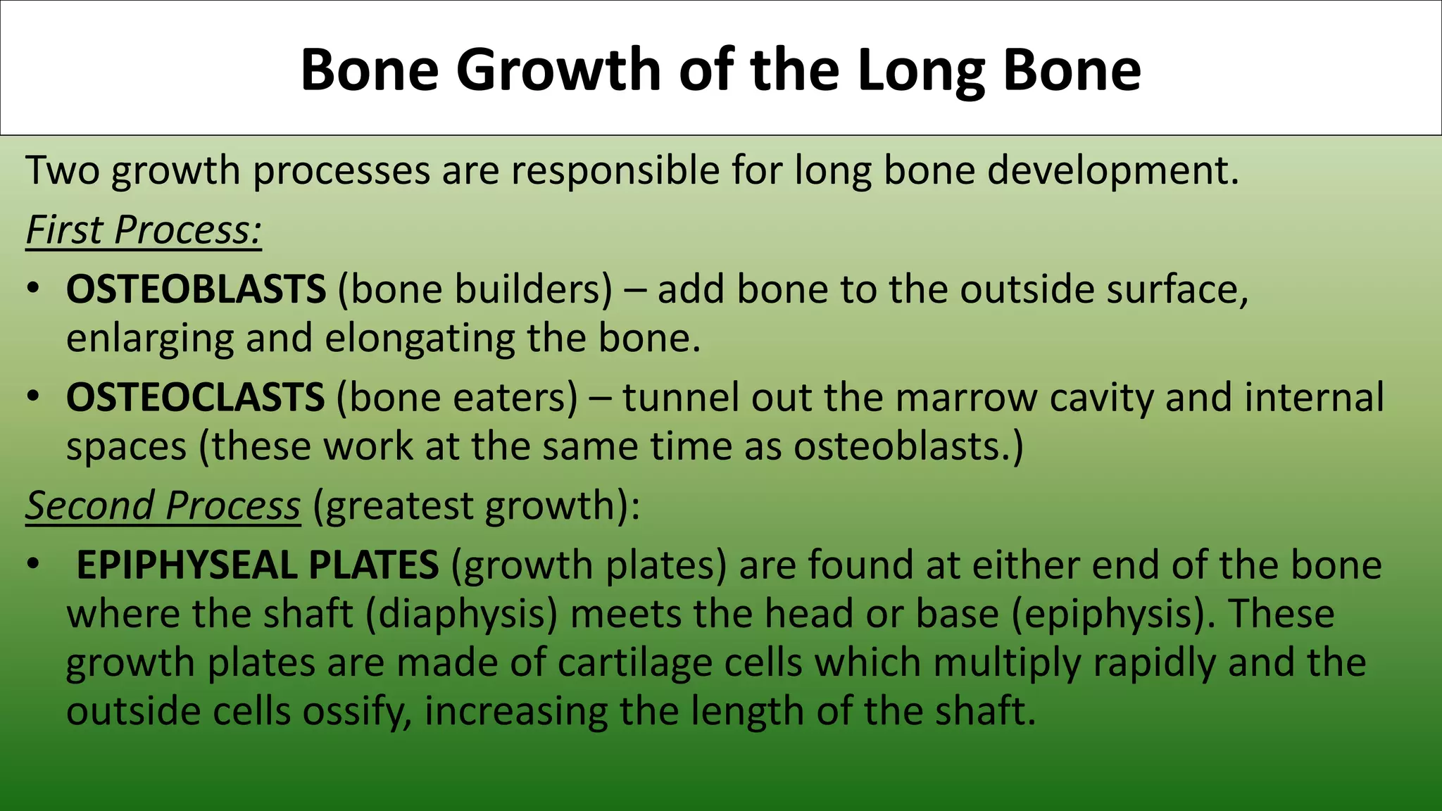 APU4.3 Skeleton System (Bone Formation & Growth) | PPTX