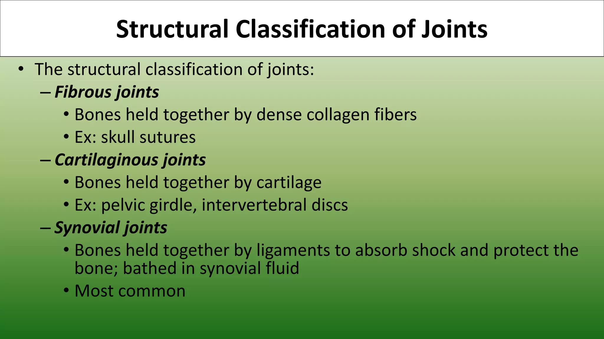 APU4.5 Skeleton System (Articulations & Movement) | PPT