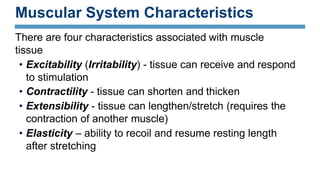 LT5.1 Characteristics & Functions | PPTX