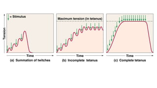 APU6.5 Types of Contractions | PPTX