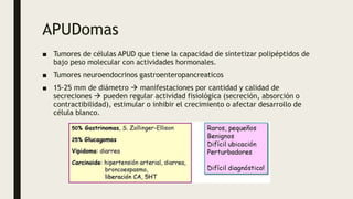 Apudomas.pptx