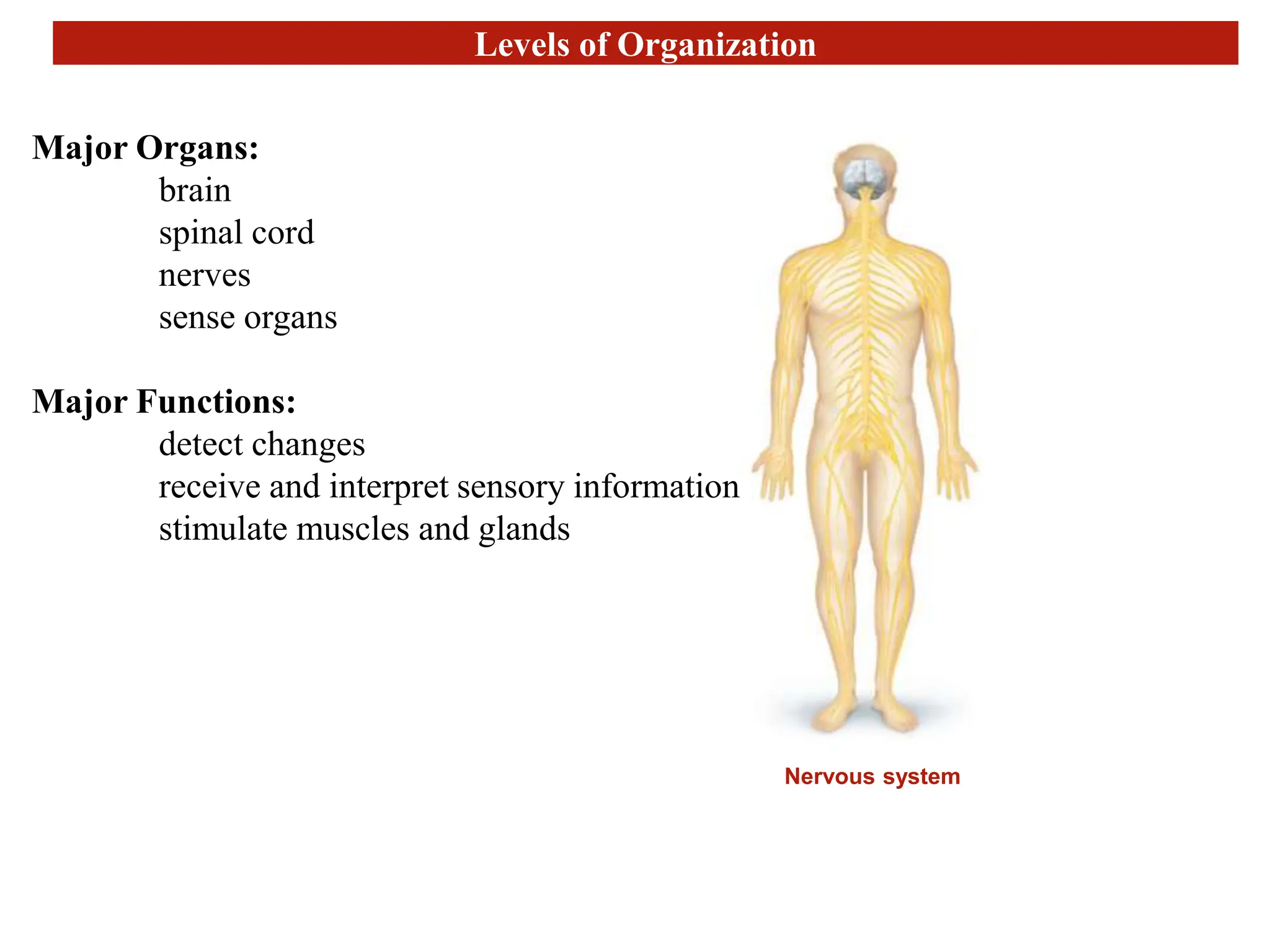 Introduction to anatomy and physiology_unit_1_intro_ppt.ppt