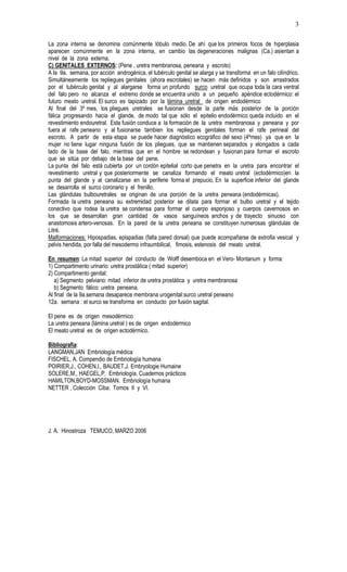 Apuntes embriolog-urogenital resumen | PDF