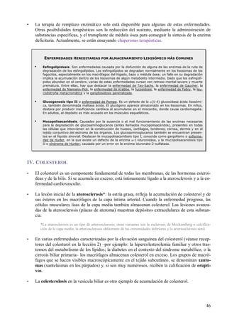 Apuntes de Biopatología Estructural General | PDF