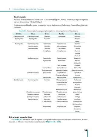 Apuntes patología general | PDF