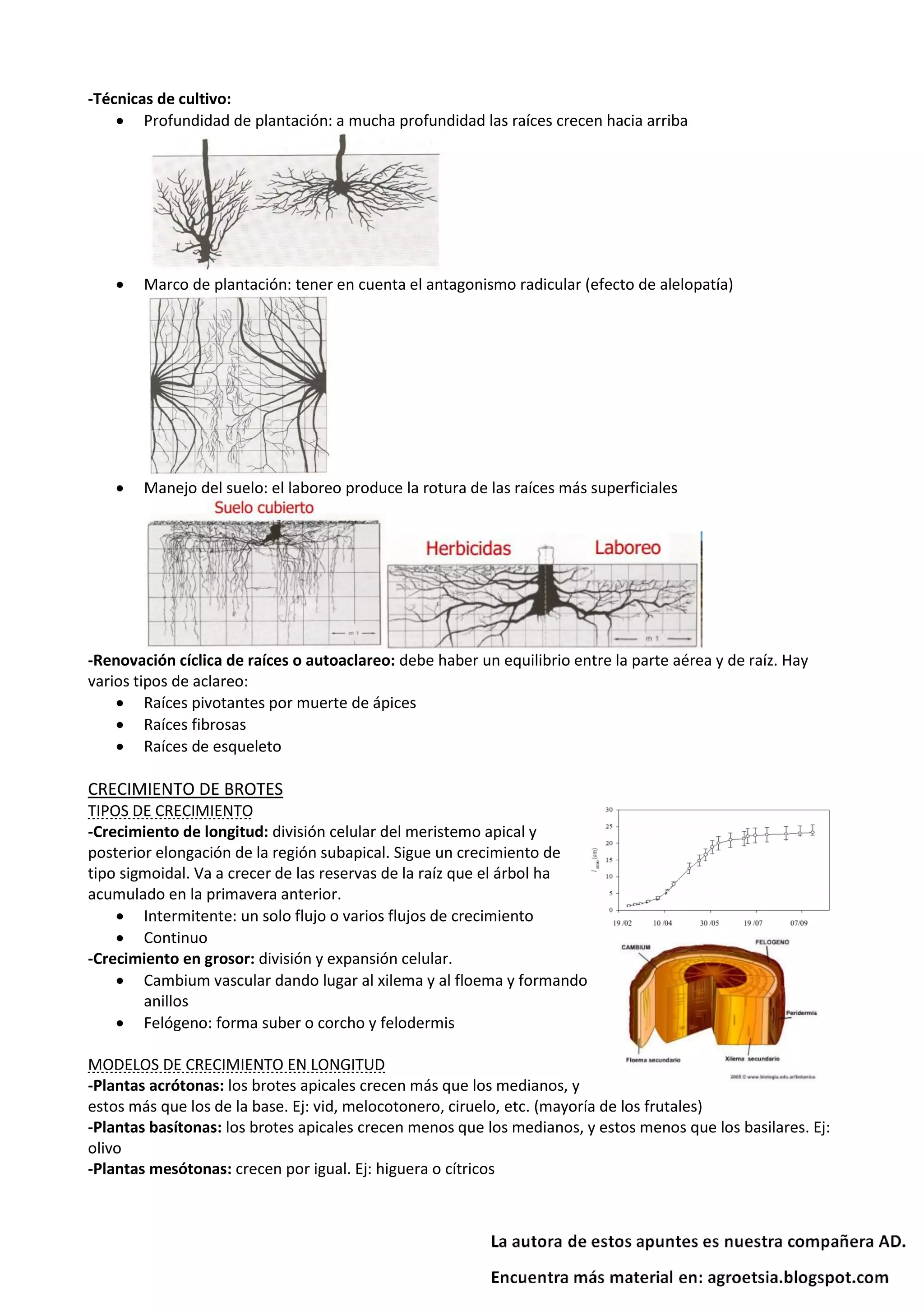 Apuntes de Teoría de Cultivos Leñosos | PDF