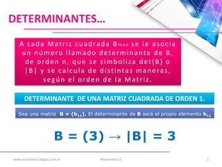 Matrices II. Determinantes. Departamento de Matemática - Colegio ...