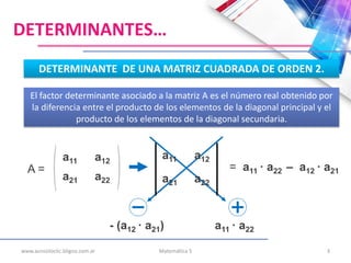Matrices II. Determinantes. Departamento de Matemática - Colegio ...