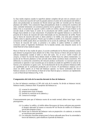 Apuntes marcha normal | PDF