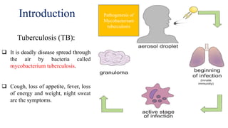 Tuberculosis Research Paper | PPT