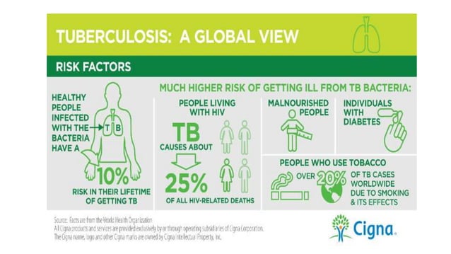 Tuberculosis Research Paper | PPT