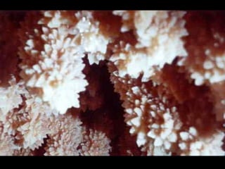 pestera poarta altarului | PPT