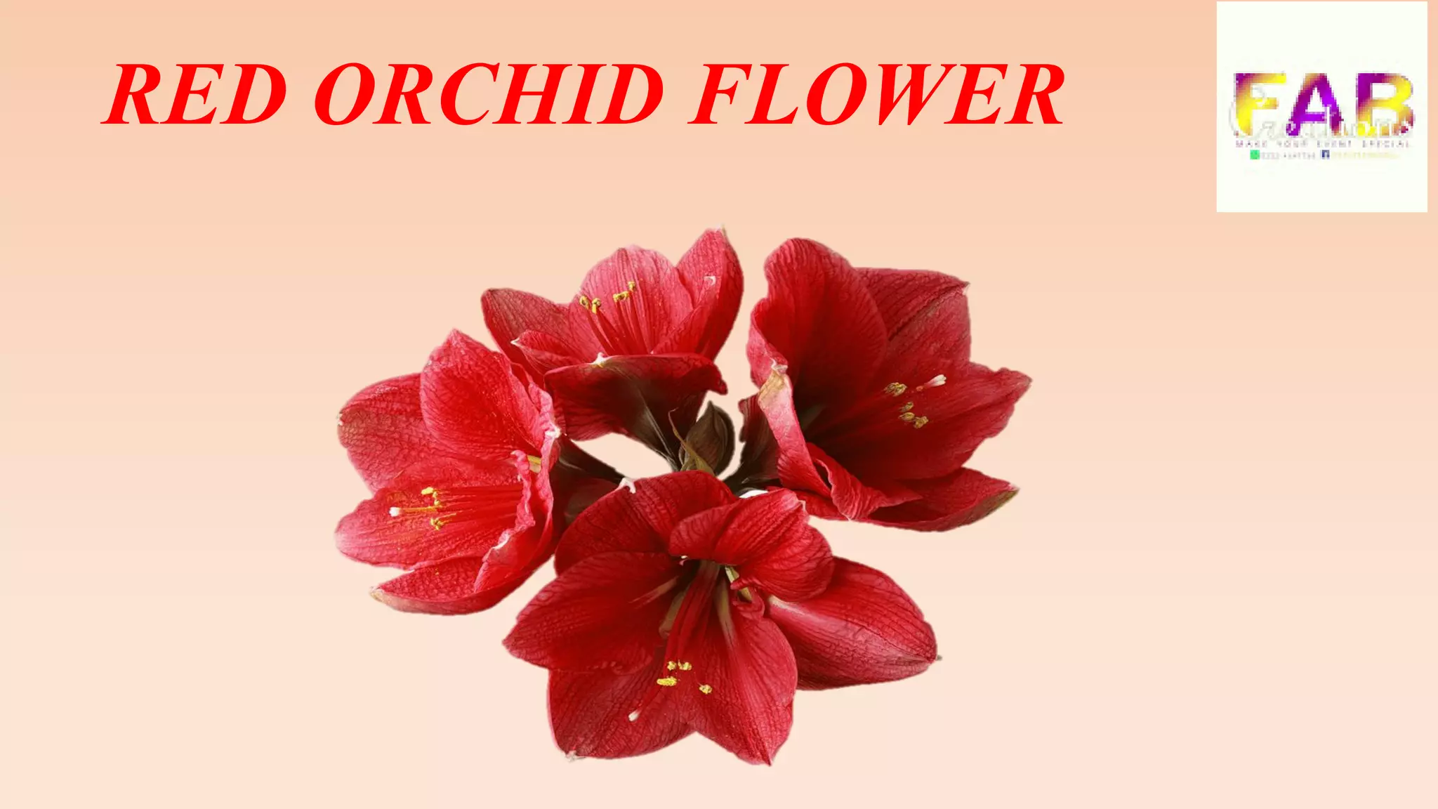 objects in RED color | PDF