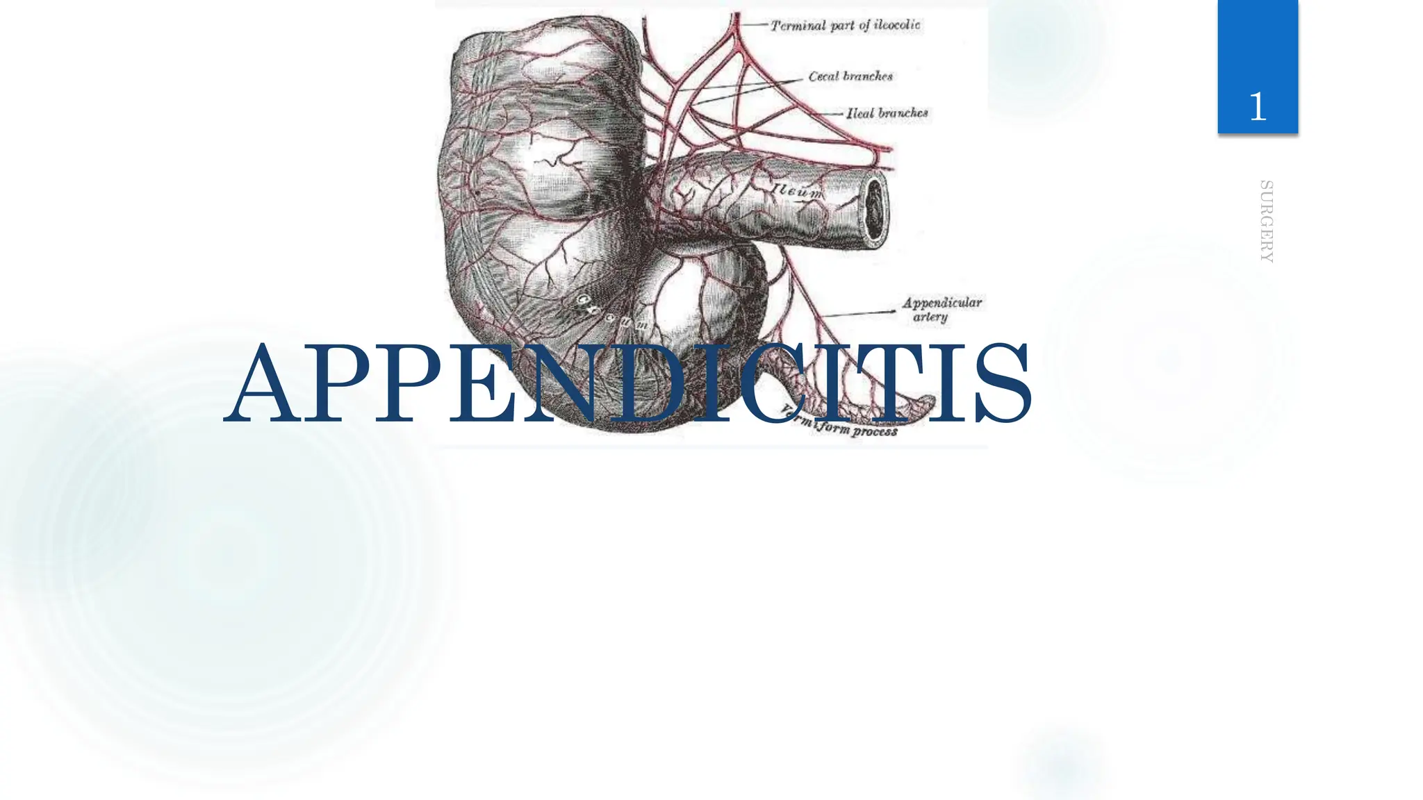 Appendicitis Presentation By Danso Jephthah Kwasi | PPT