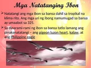 AP Y1 Aralin 6 Ang Kinalaman ng Klima sa Mga Uri ng Pananim at Hayop sa Pilipinas inkay_peralta.pptx