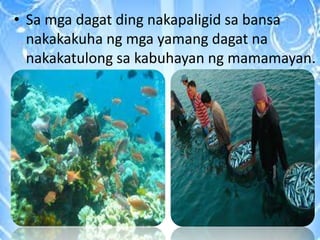 AP_Y1_Aralin_7_Ang_Pilipinas_bilang_Isang_Bansang_Insular_inkay_peralta ...