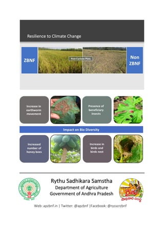 AP ZBNF - Brochure | PDF