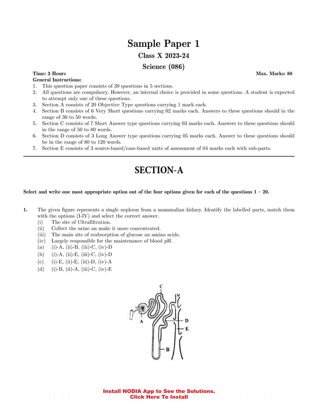Science 30 set Sample Papers | PDF