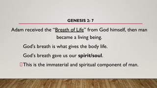 what is manwhat is manwhat is manwhat is man | PDF