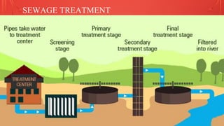 Role of biotechnology in environmental pollution | PDF