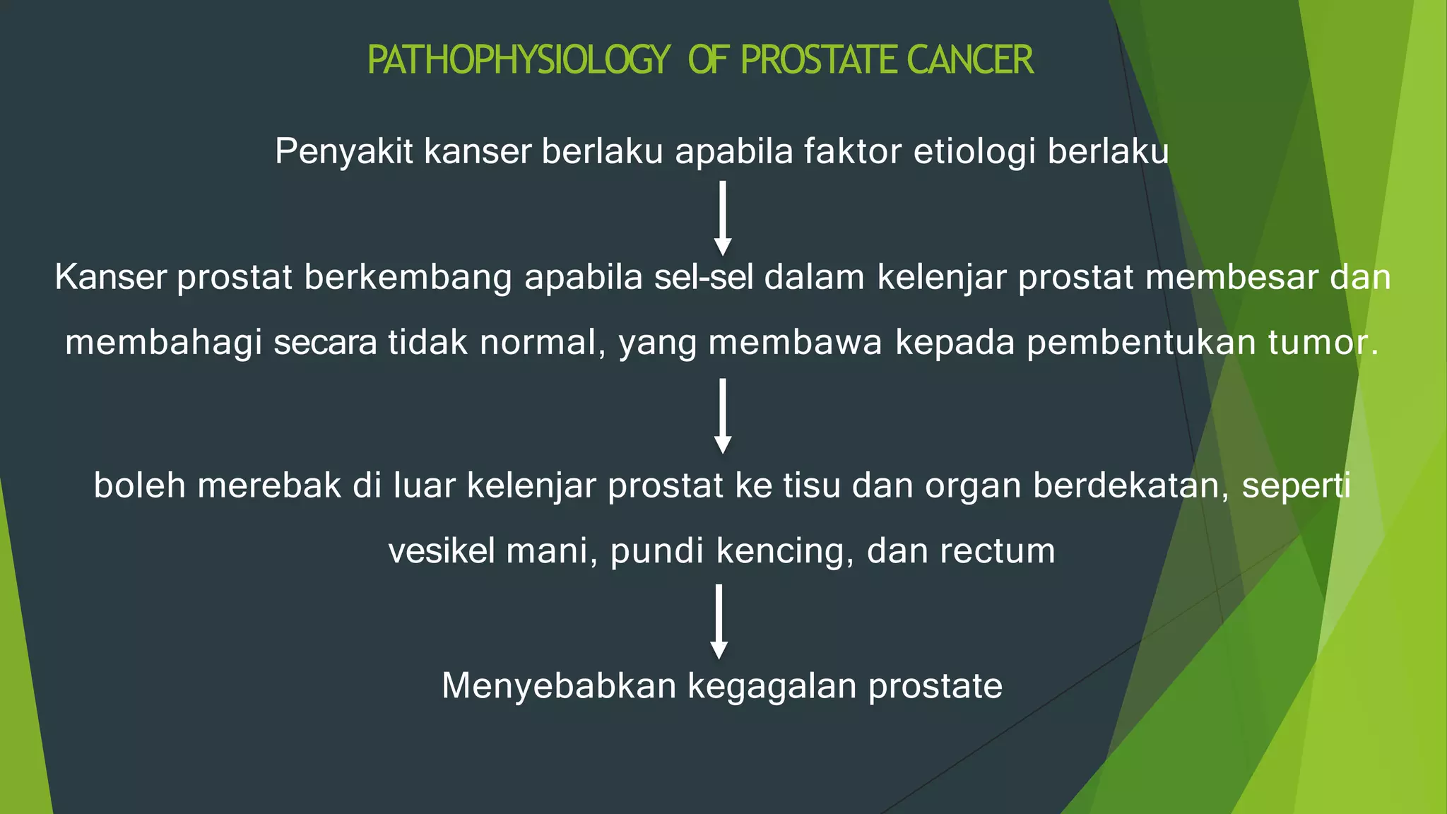 KIDNEY, BLADDER AND PROSTATE CANCER | PPTX