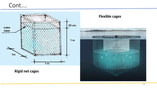 Cage fish farming and the basic principals.pptx