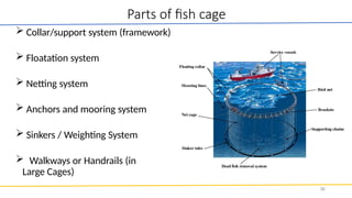 Cage fish farming and the basic principals.pptx