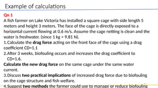 Cage fish farming and the basic principals.pptx